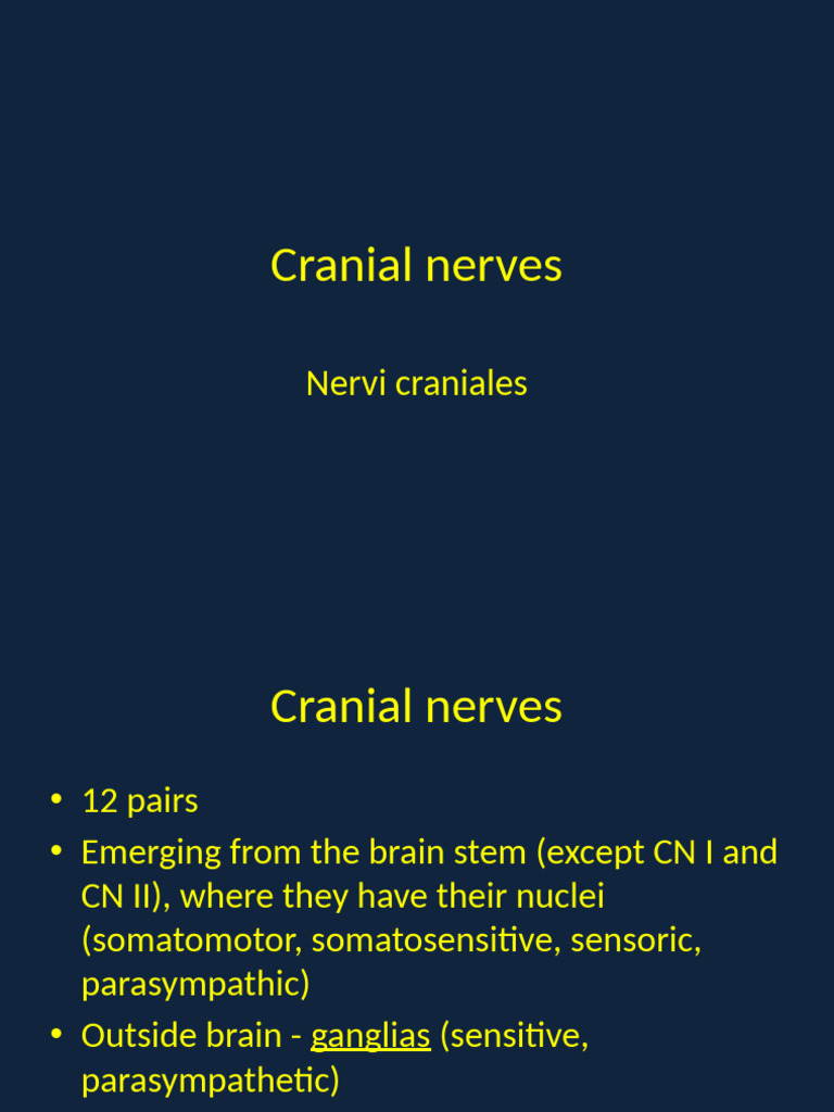 Cranial Nerves Nervi Craniales Cranial Nerves 12 Pairs Emerging From ...