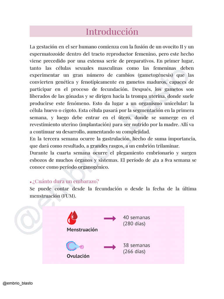 TP 1 Embrio | PDF | Hormona luteinizante | Ovario