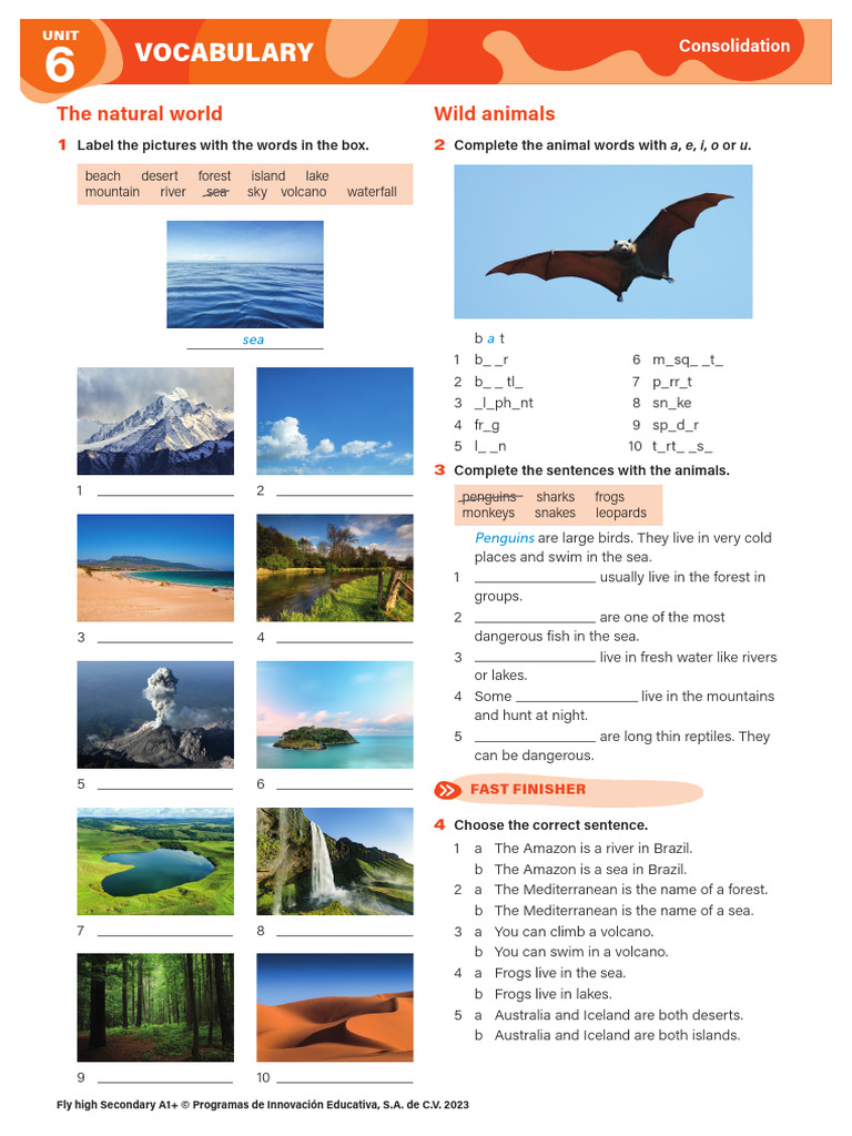 Natural World and Wild Animals | PDF | Galápagos Islands | Pet