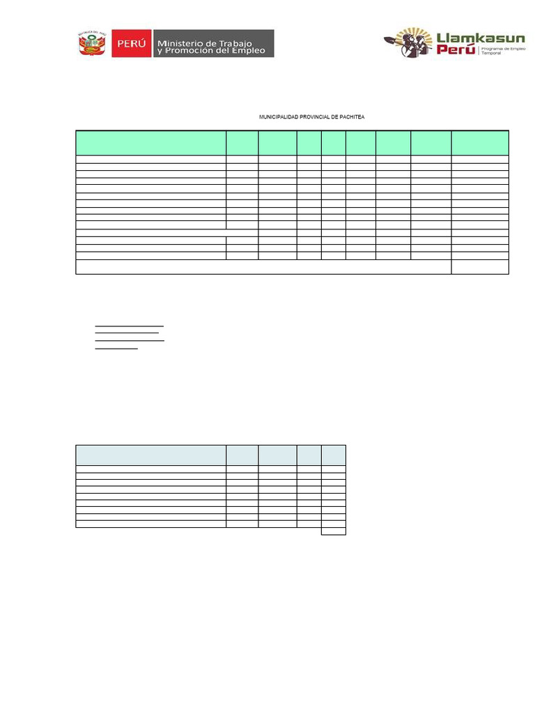 Formato 05 Ficha Tecnica San Juan | PDF | Seguro