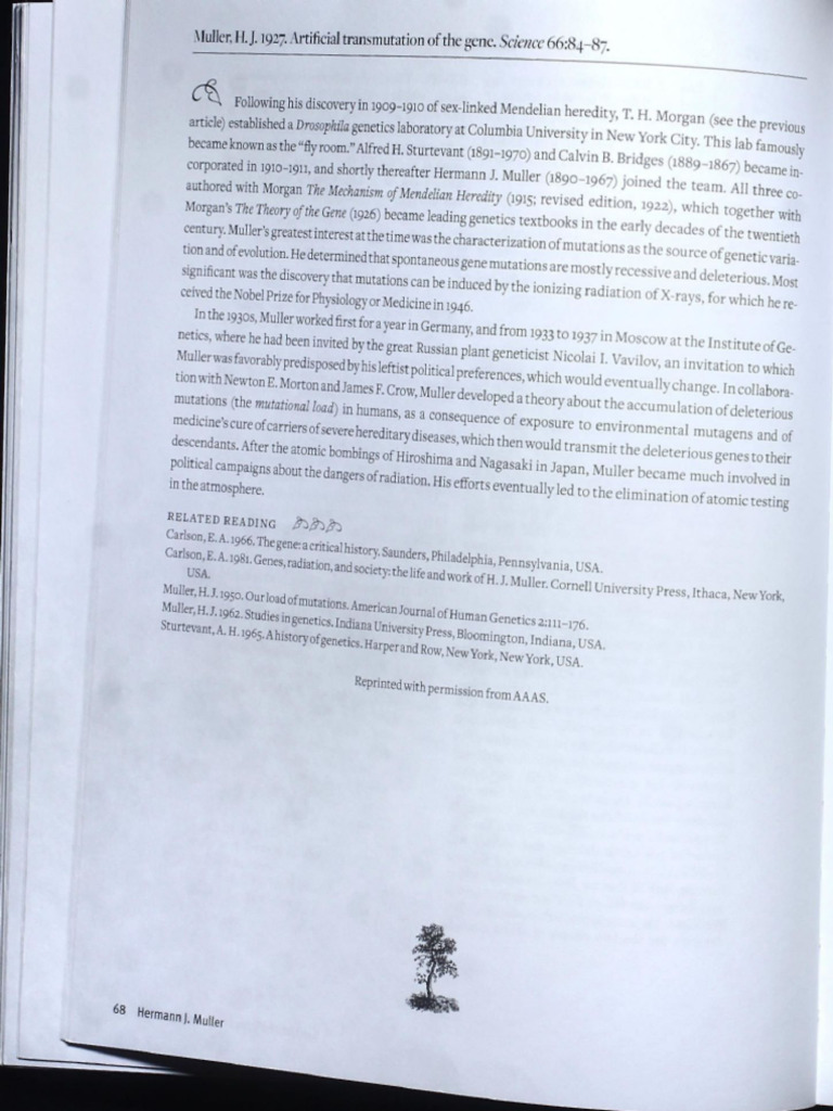 Artificial Transmutation | PDF | Mutation | Gene