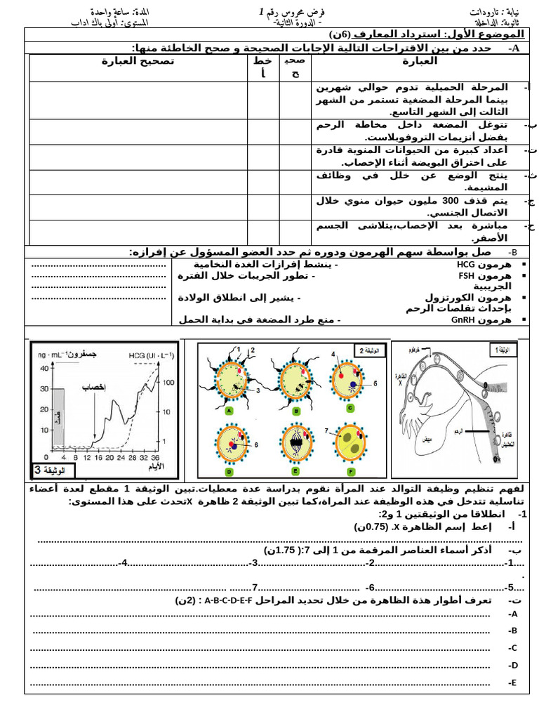 Controle 1 - Semestre 2 1bac L | PDF