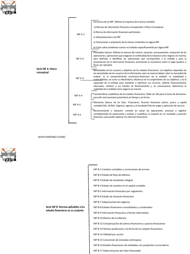 Estructura de Las NIF | PDF | Contabilidad | Estado financiero