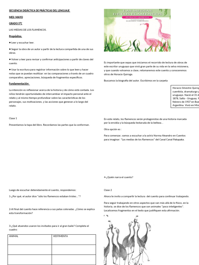 Las Medias de Los Flamencos Quinto | PDF