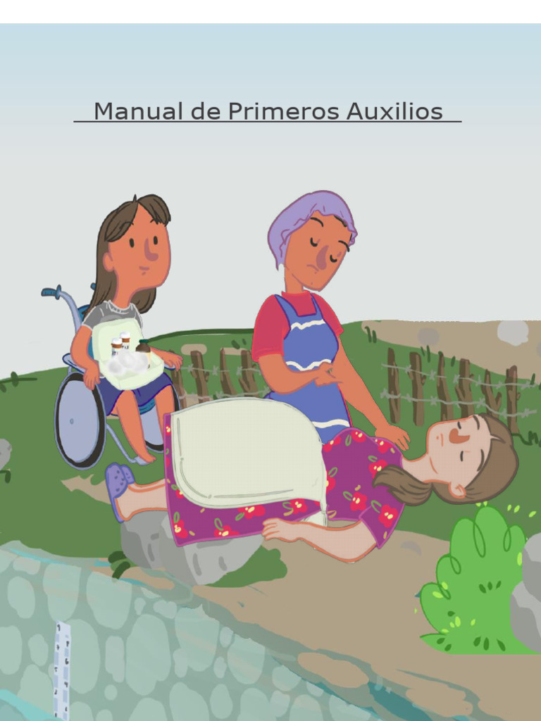 Manual Primeros Auxilios BASICO | PDF | Primeros auxilios | Herida