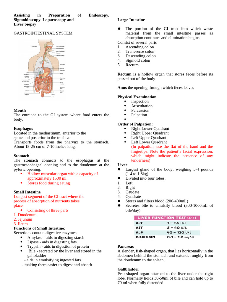 Endoscopy and GI Procedure Overview | PDF | Human Digestive System ...
