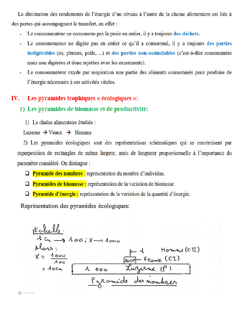 Suite Du Cours 1 - 125007 | PDF