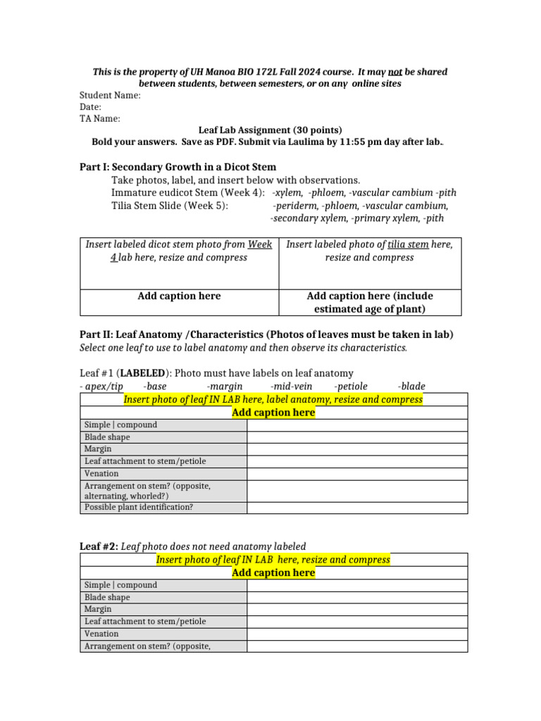 5 Leaves Lab Worksheet | PDF | Leaf | Plant Stem