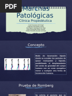 Tipos de Marcha | PDF | Sistema musculoesquelético | Enfermedades y ...