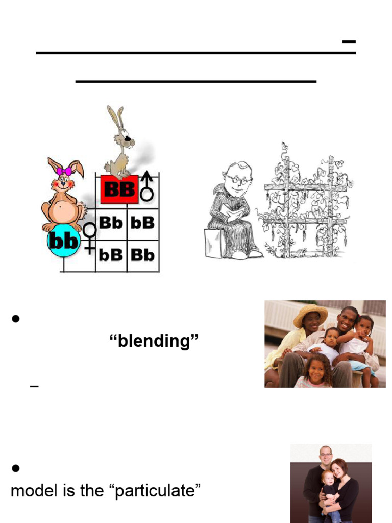 Slides Mendelian Genetics | PDF | Dominance (Genetics) | Genotype