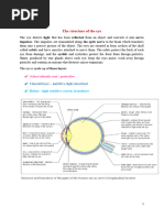 IGCSE 0610 - EYES Sense Organs NOTES (2023-2025) | PDF | Eye | Retina