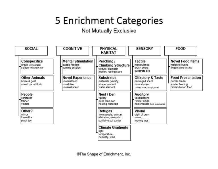 Five Categories | PDF