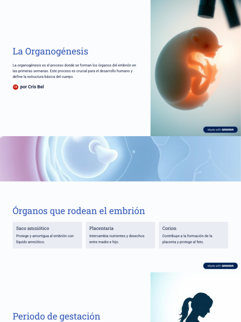 La Organogenesis | PDF