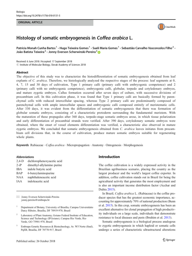 Histology of Somatic Embryogenesis in Coffee | PDF | Embryo | Tissue ...