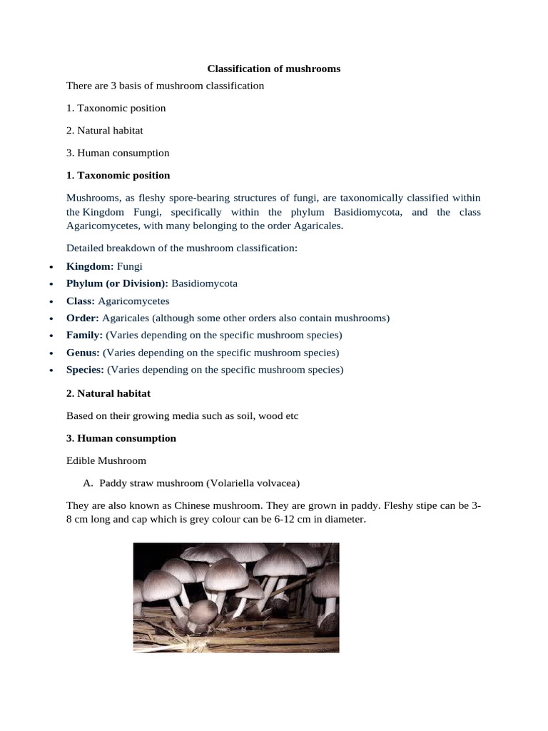 Classification of Mushrooms | PDF | Mushroom | Edible Mushroom