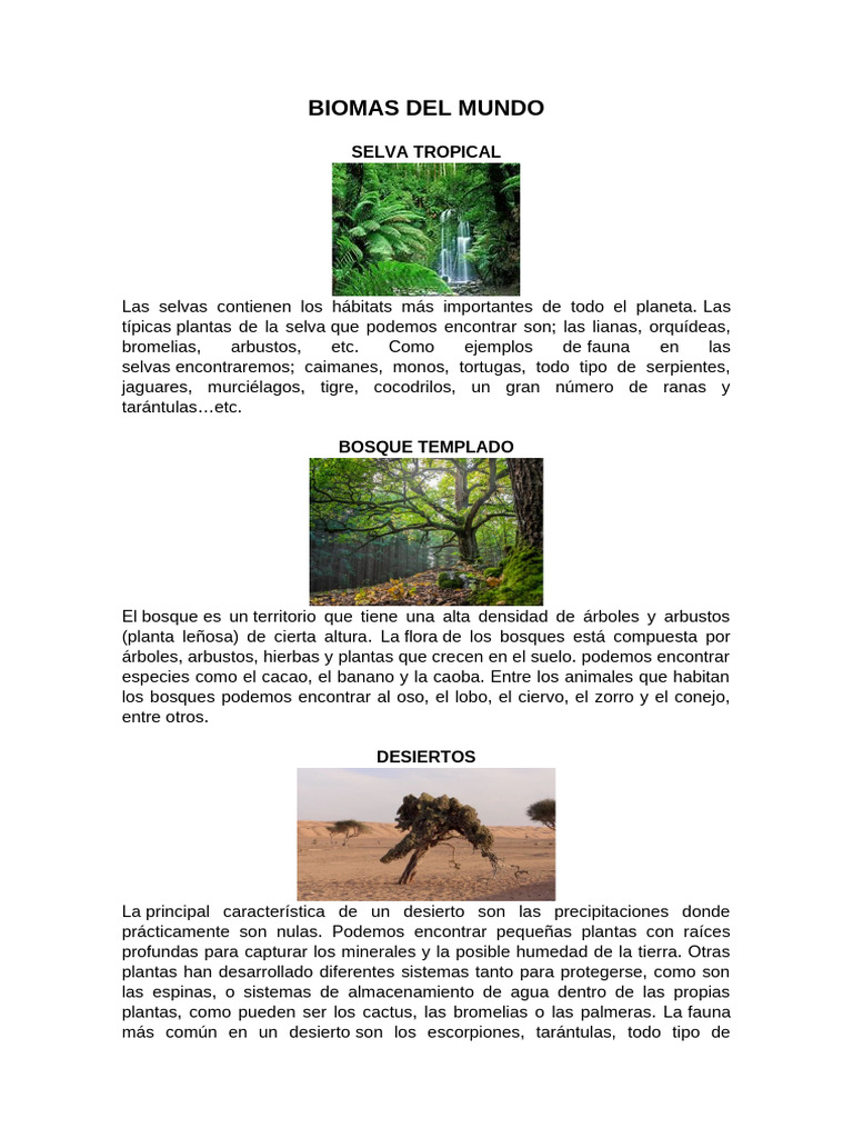 BIOMAS DEL MUNDO | PDF | Ecología | Biogeografia