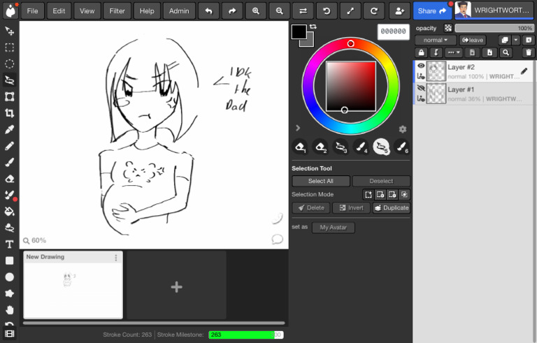 New Drawing Magma 6 | PDF