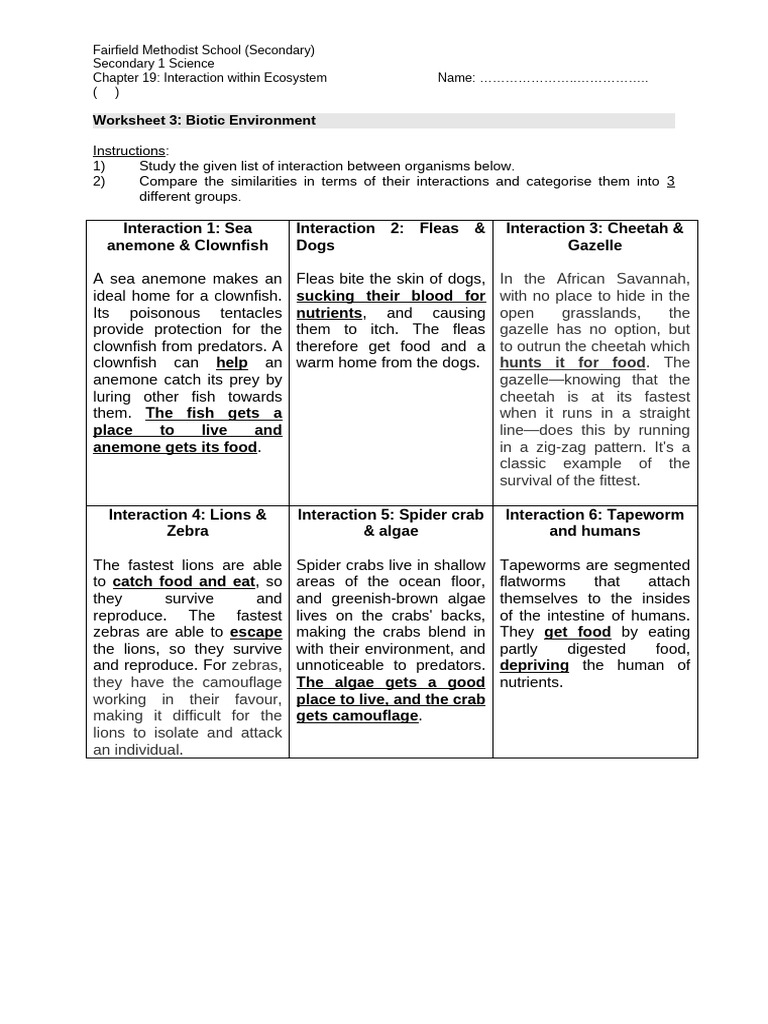 Interactions in Ecosystems Worksheet | PDF | Predation | Foods