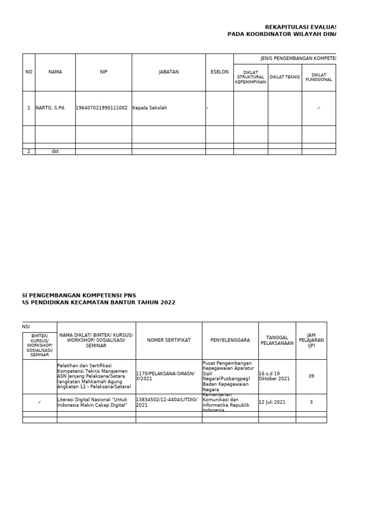 FORMAT PENGISIAN - Copy | PDF
