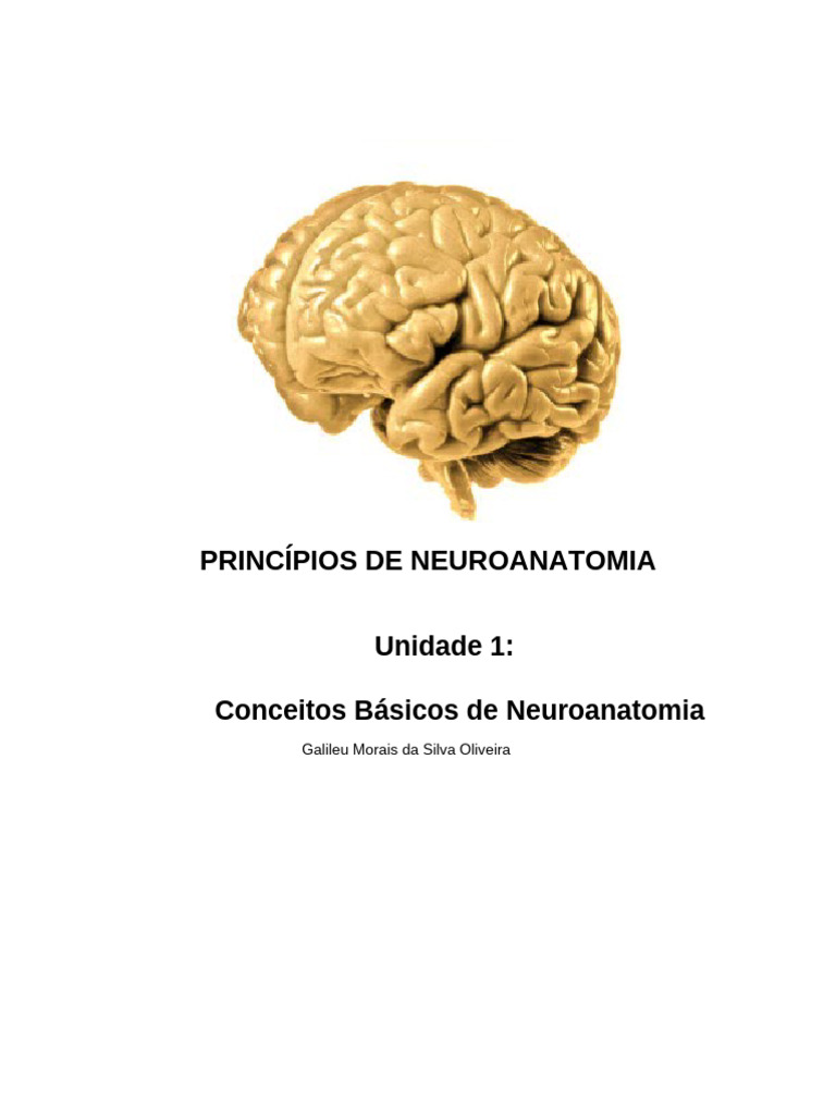 Princípios de Neuroanatomia Básica | PDF | Córtex cerebral | Sistema ...