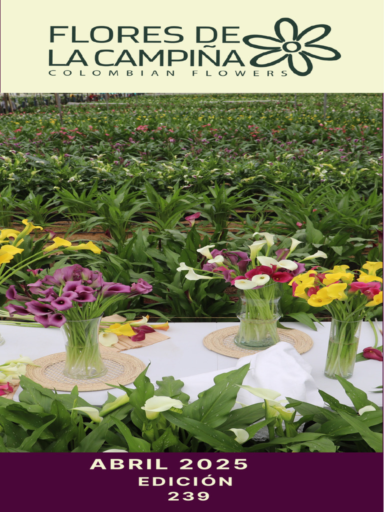 ABRIL Whatapp 2025 - 20250419 - 114900 - 0000 | PDF | Agua | Ph