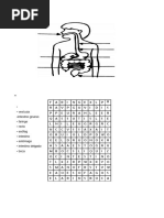 Sopa de Letras Sistema Digestivo | PDF