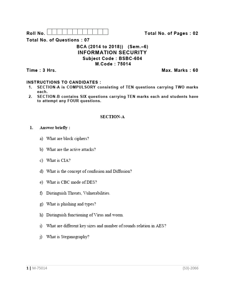Bca 6 Sem Information Security 75014 Nov 2019 | PDF