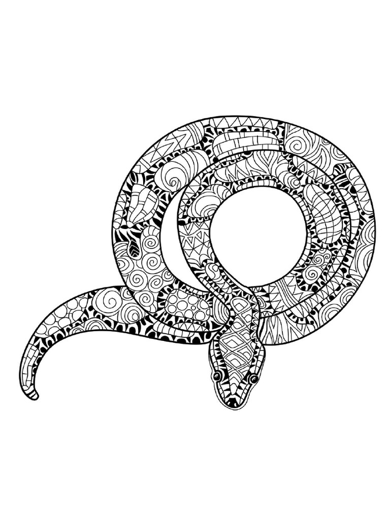 Terrestrial Animals (15 Pages) | PDF