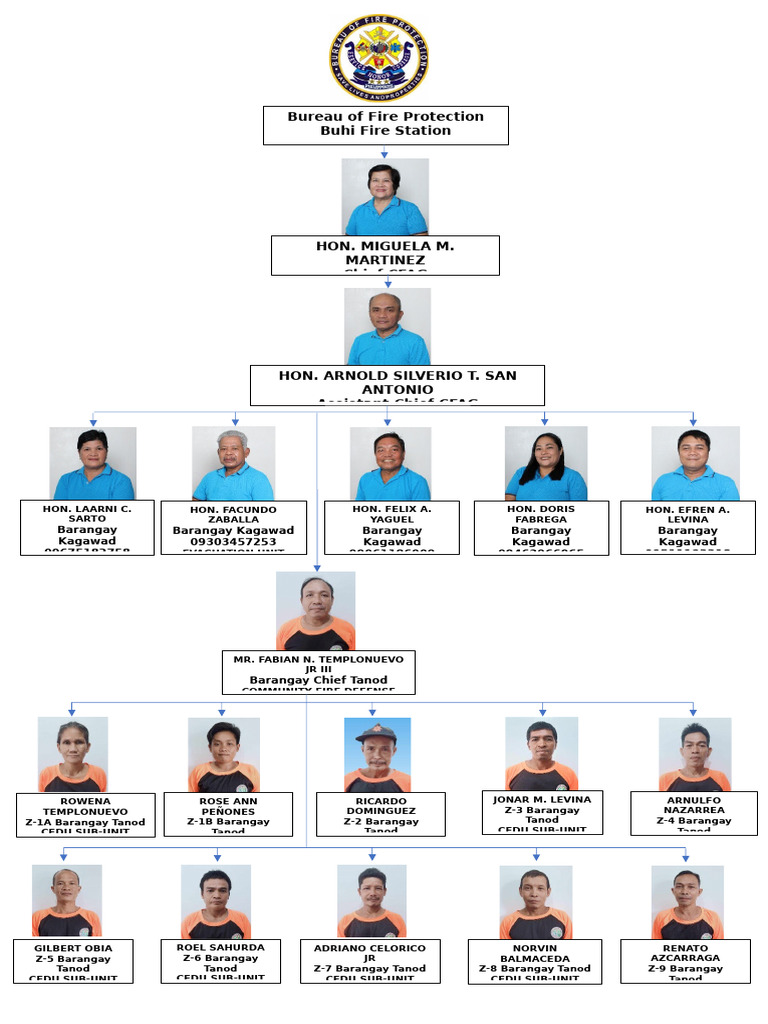 Organization Structure BFP | PDF