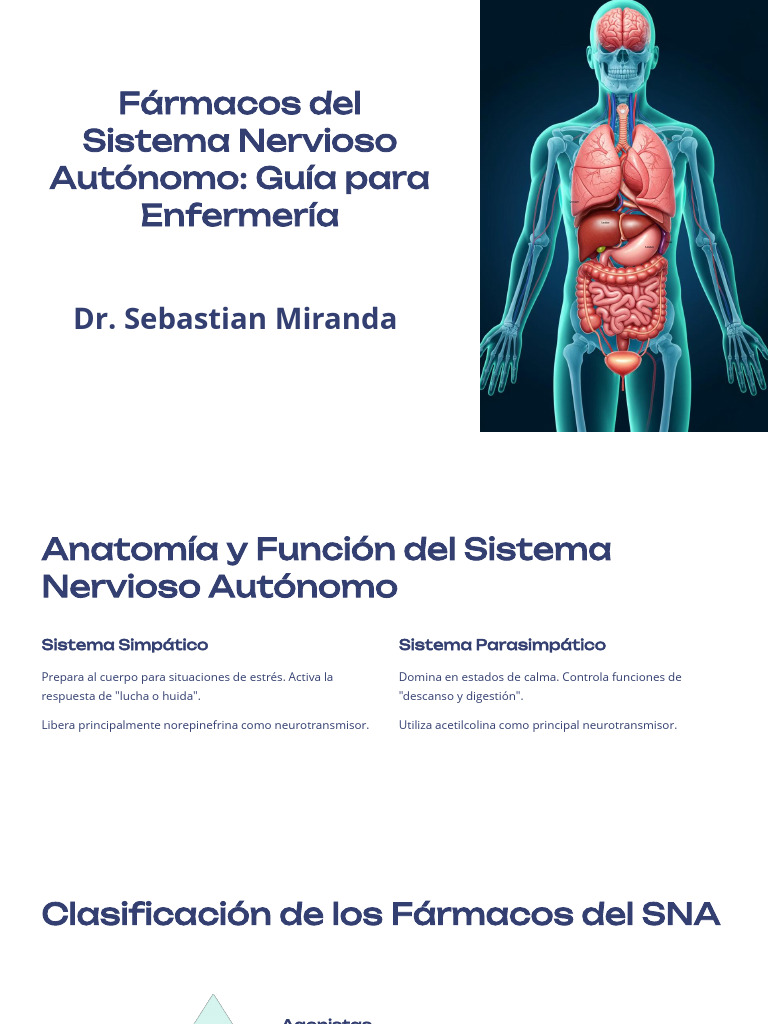 Farmacos Del Sistema Nervioso Autonomo | PDF | Drogas que actúan sobre el sistema nervioso ...