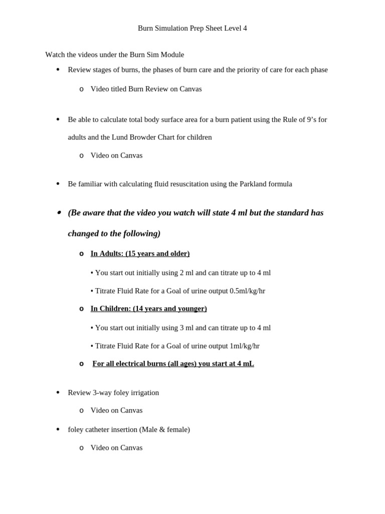 Burn+SIM+Prep+Sheet+L4 1 | PDF