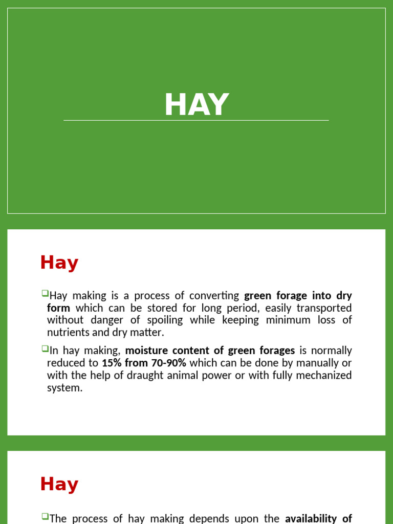 Hay1 240320223148 949cfcb3 | PDF | Hay | Legume