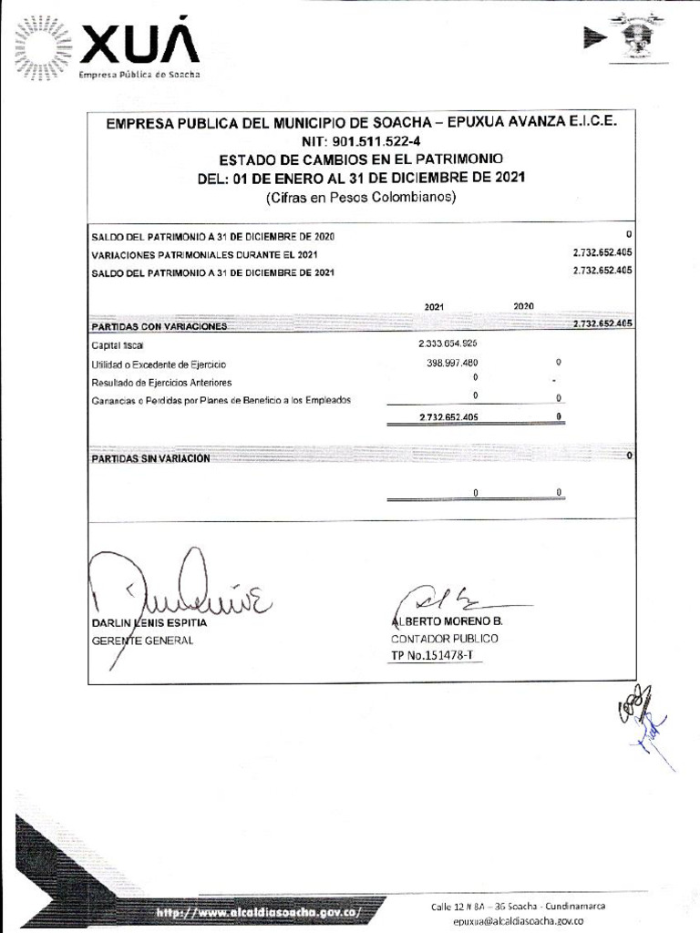 Estados Financieros 2021 | PDF