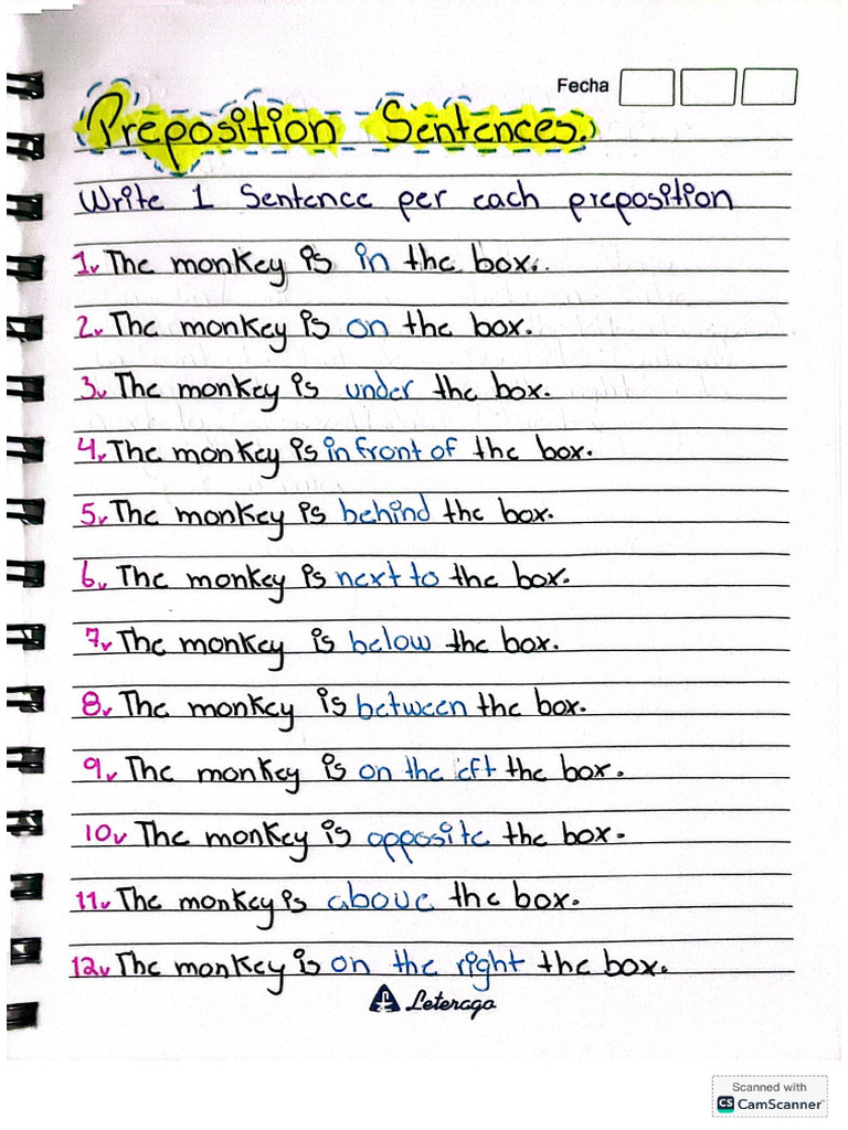 Preposition Sentences | PDF