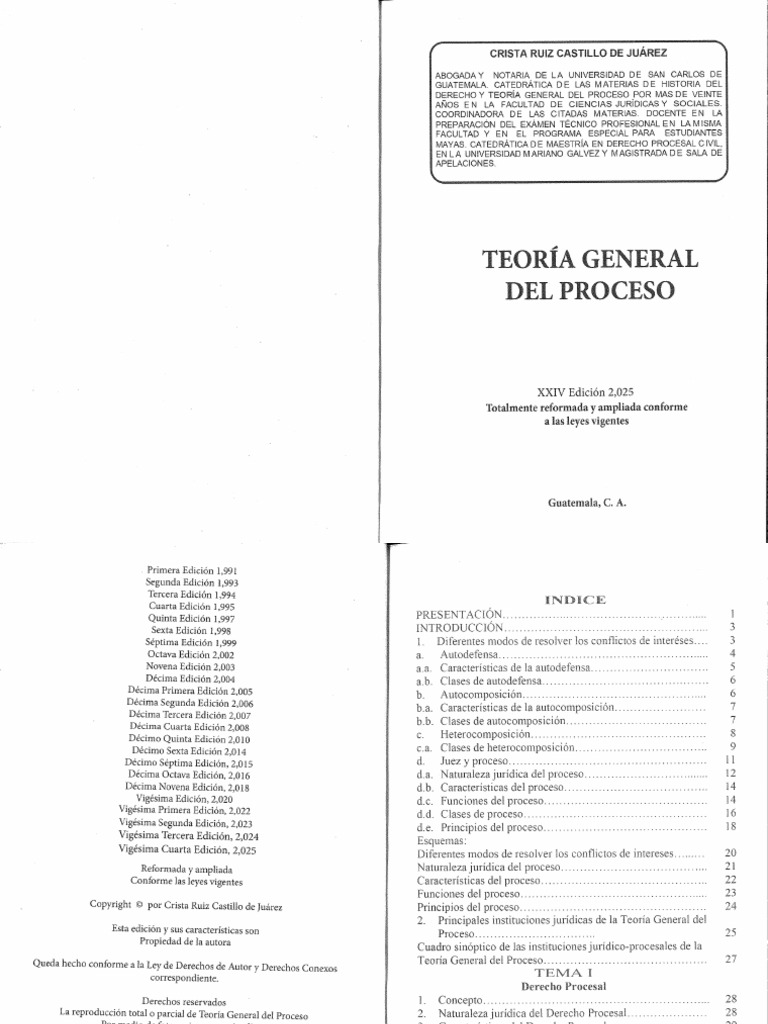 Teoría General Del Proceso | PDF