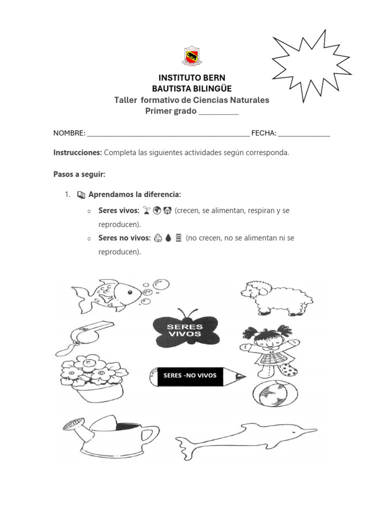 Taller Formativo de Ciencias Naturales Primer Grado | PDF