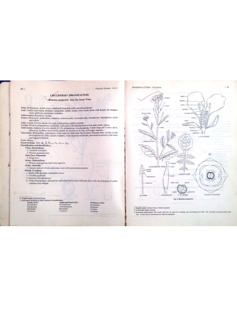 Document Scanned with CamScanner | PDF