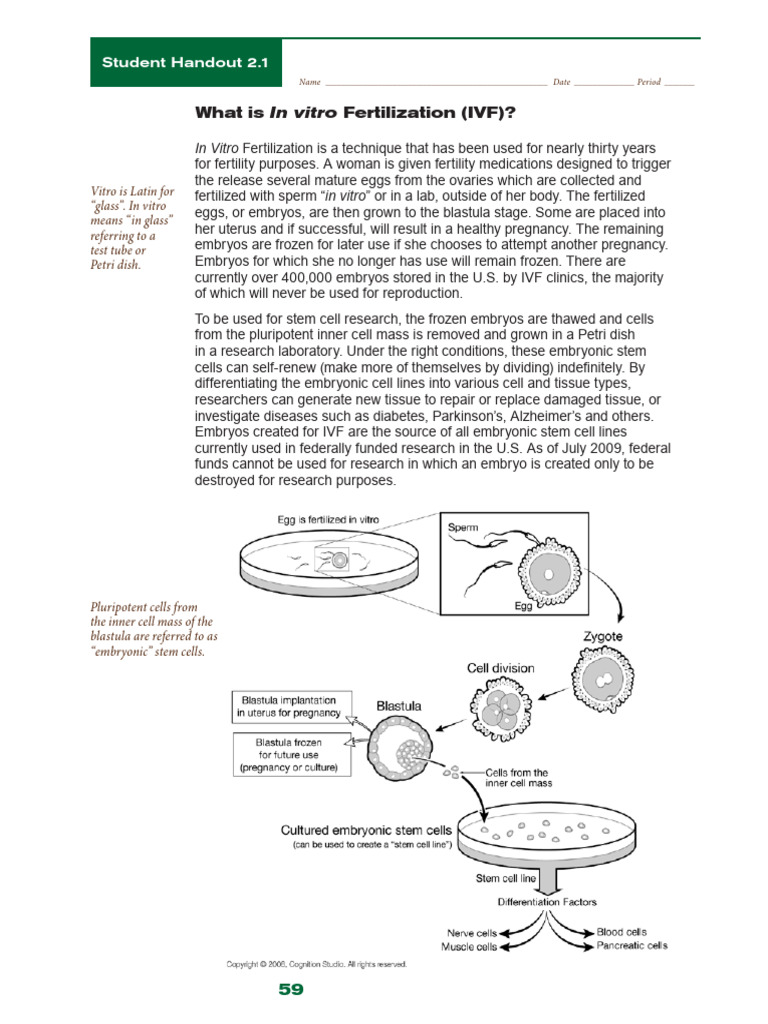 Techniques For Obtaining Stem Cells - Articles Only | PDF | Embryo ...