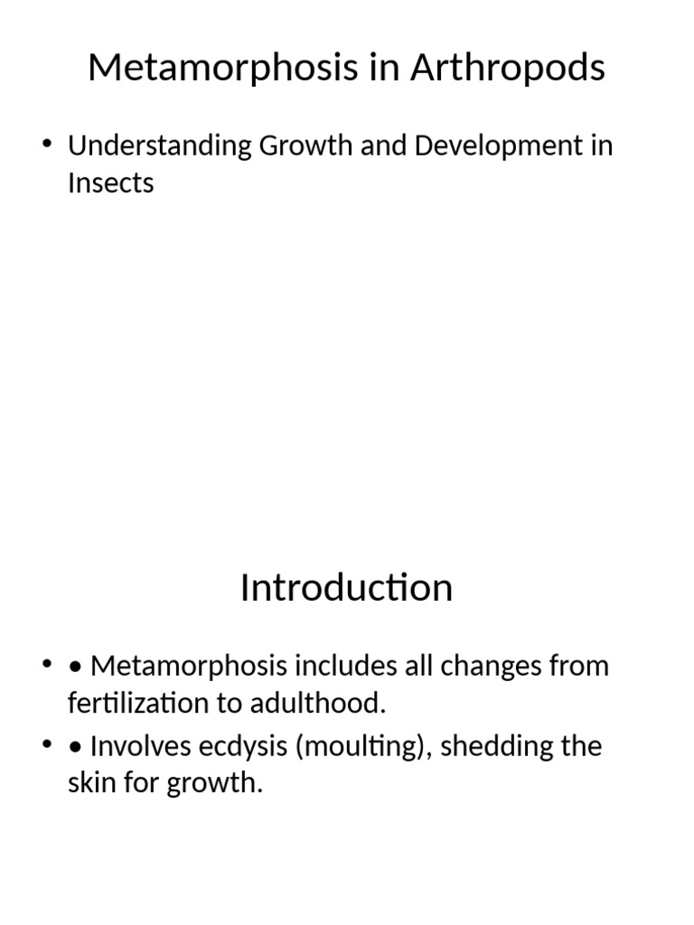 Types of Metamorphosis in Arthropods | PDF