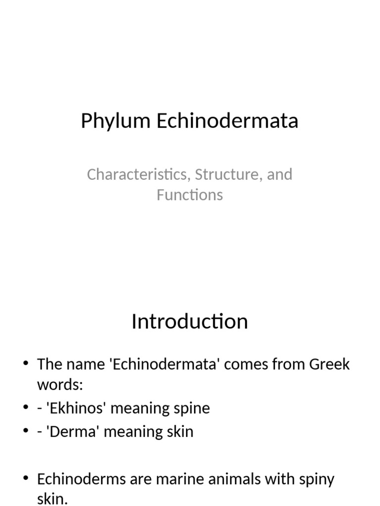 Phylum Echinodermata | PDF