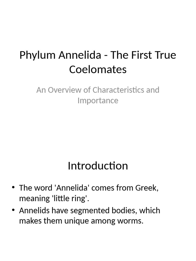 Annelida: Characteristics and Examples | PDF