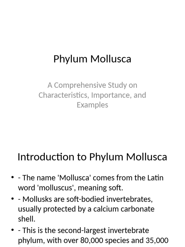 Overview of Phylum Mollusca | PDF