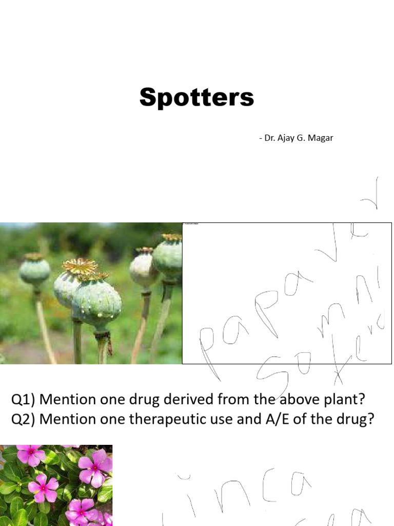 Spotters | PDF