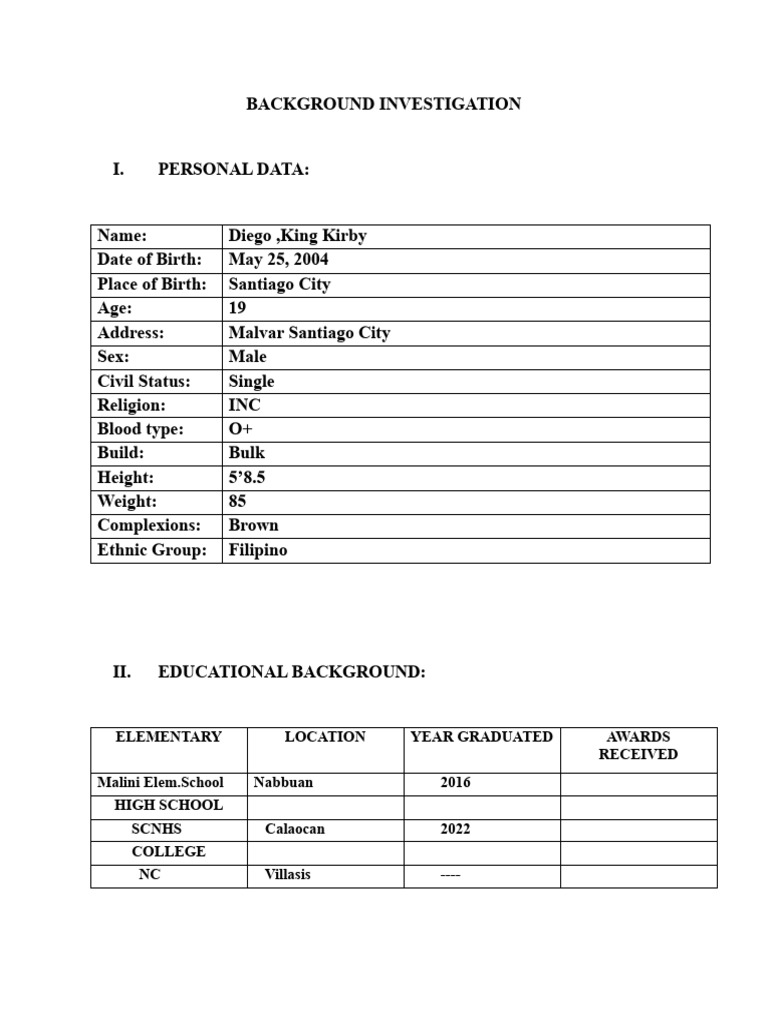 Background Investigation | PDF