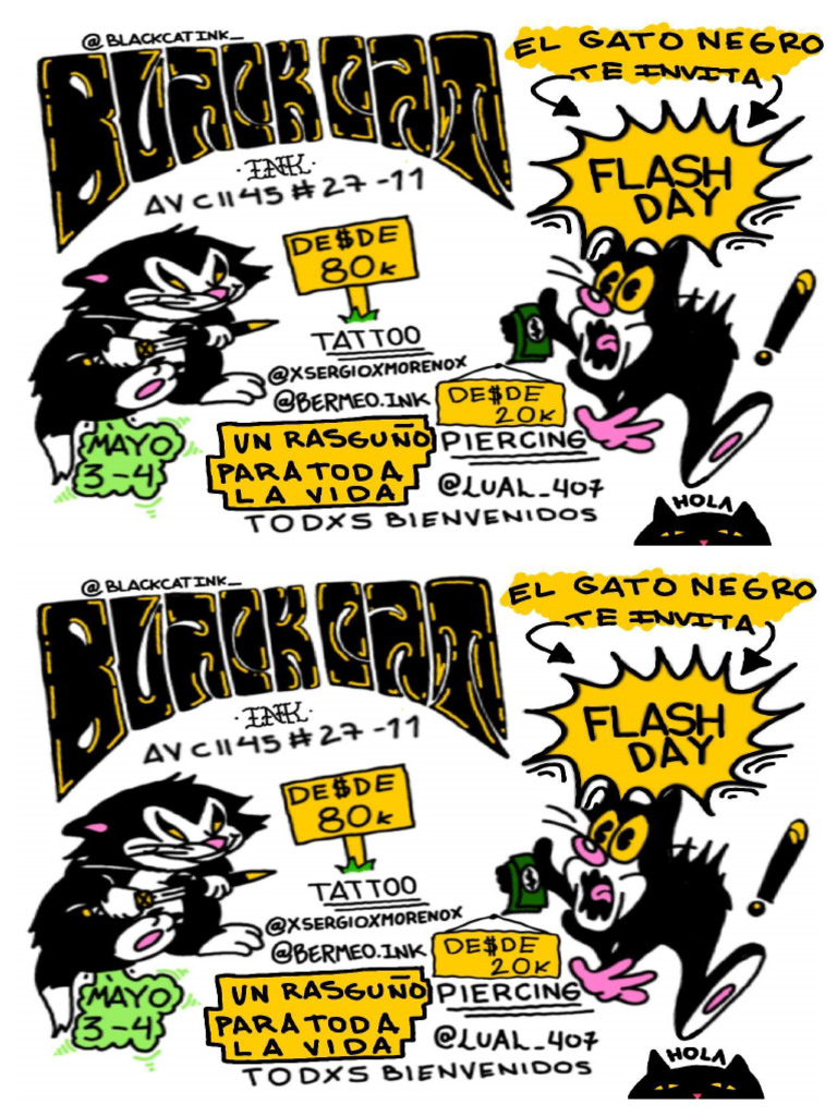 Flash Day | PDF