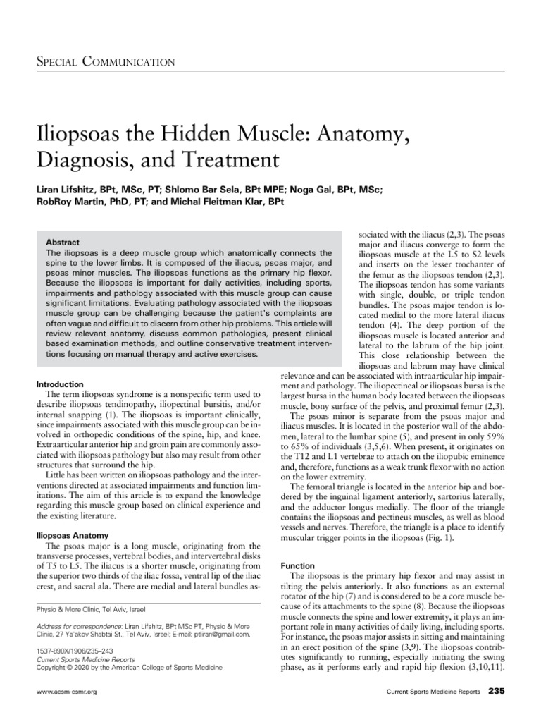 Iliopsoas Muscle: Anatomy & Treatment Guide | PDF | Lower Limb Anatomy ...