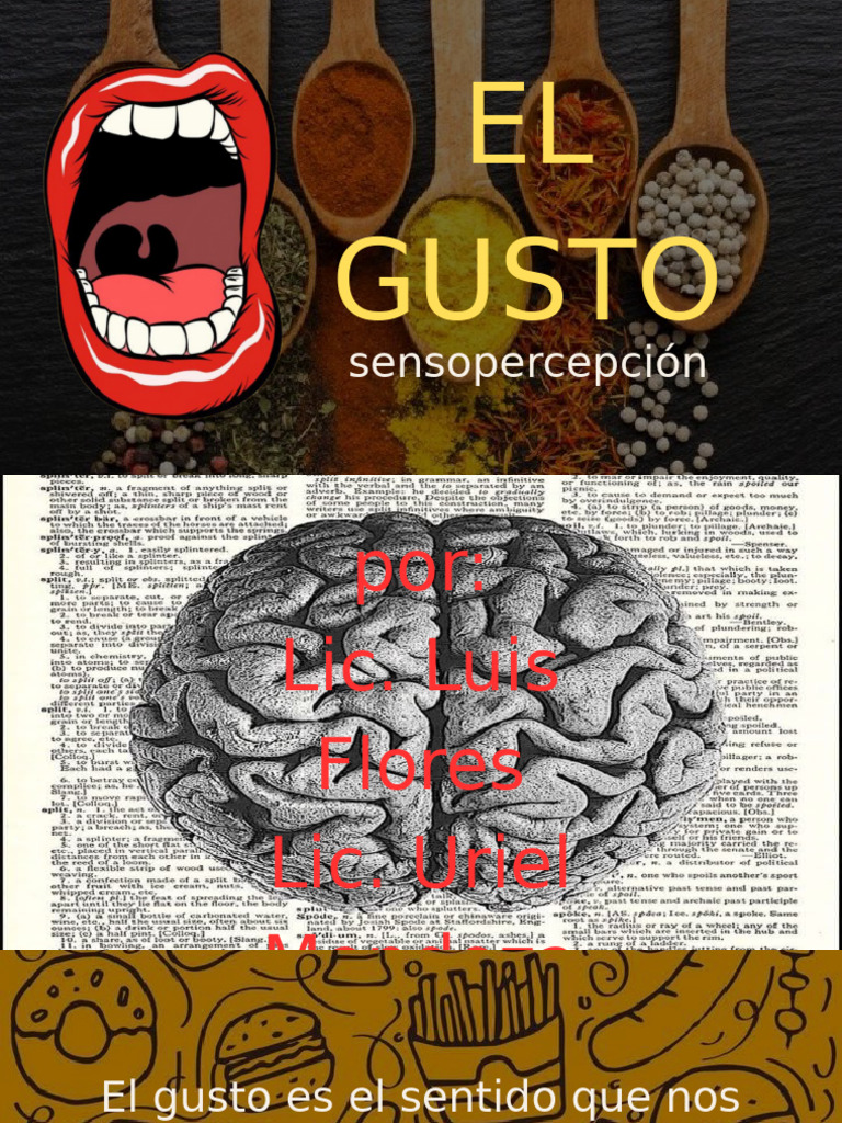 El Gusto - 20250401 - 202805 - 0000 | PDF | Gusto | Neurociencia