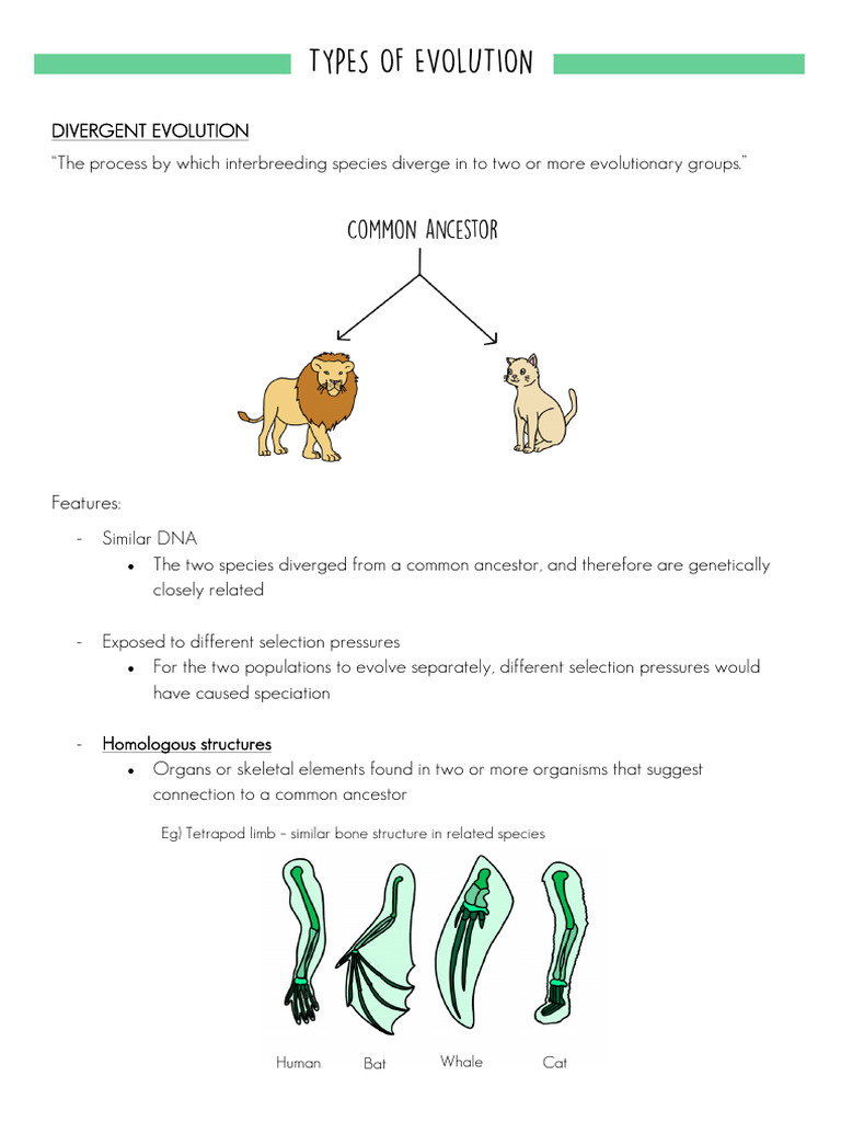 M11L3 - Types of Evolution | PDF | Evolution | Species