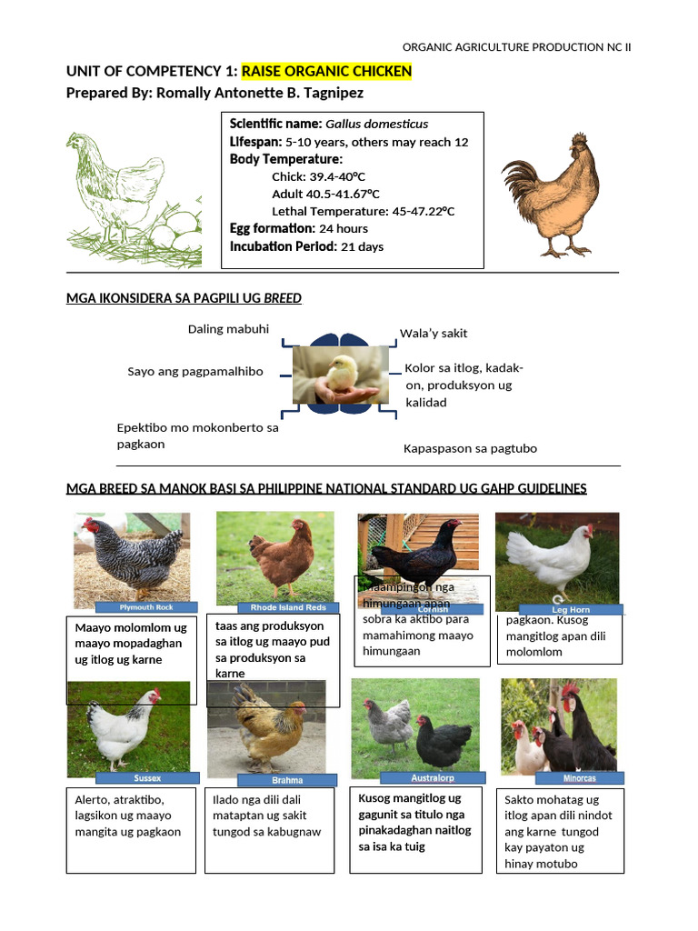 Raise Organic-Chicken | PDF