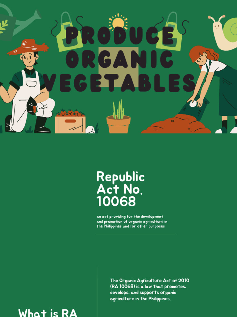 Produce Organic Vegetables-Catayas | PDF | Sowing | Plant Nursery